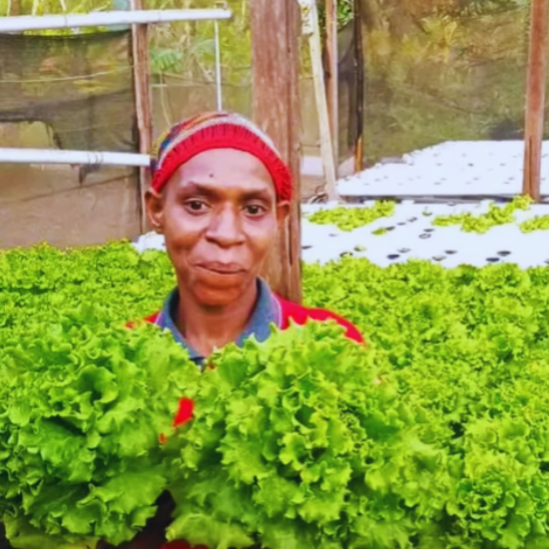 Green Power from Merauke - Hapin - Papua Support Foundation